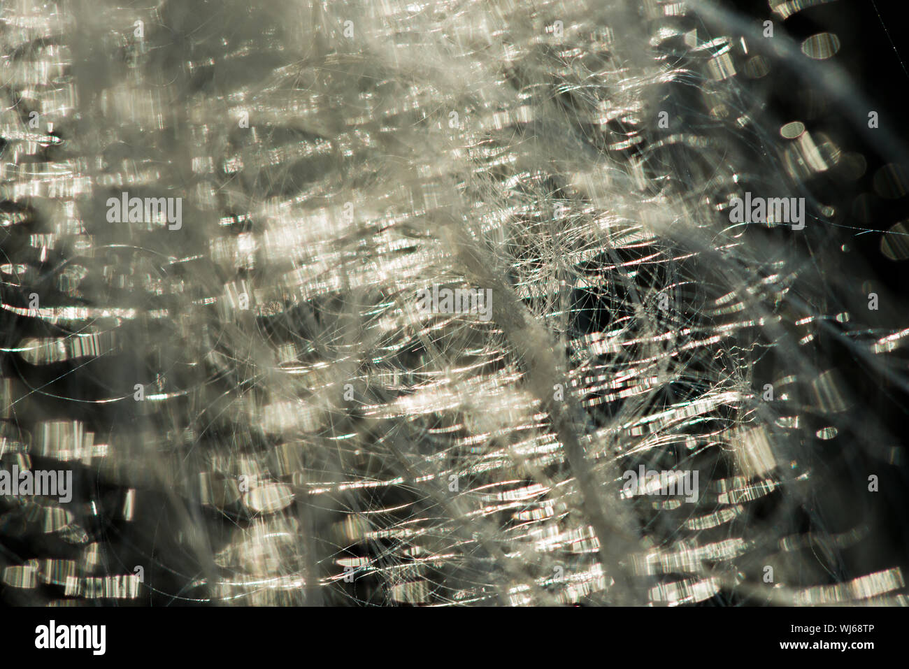 Fiber diffraction hi-res stock photography and images - Alamy