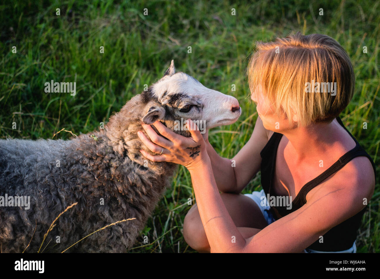 Woman with sheep hi-res stock photography and images - Alamy