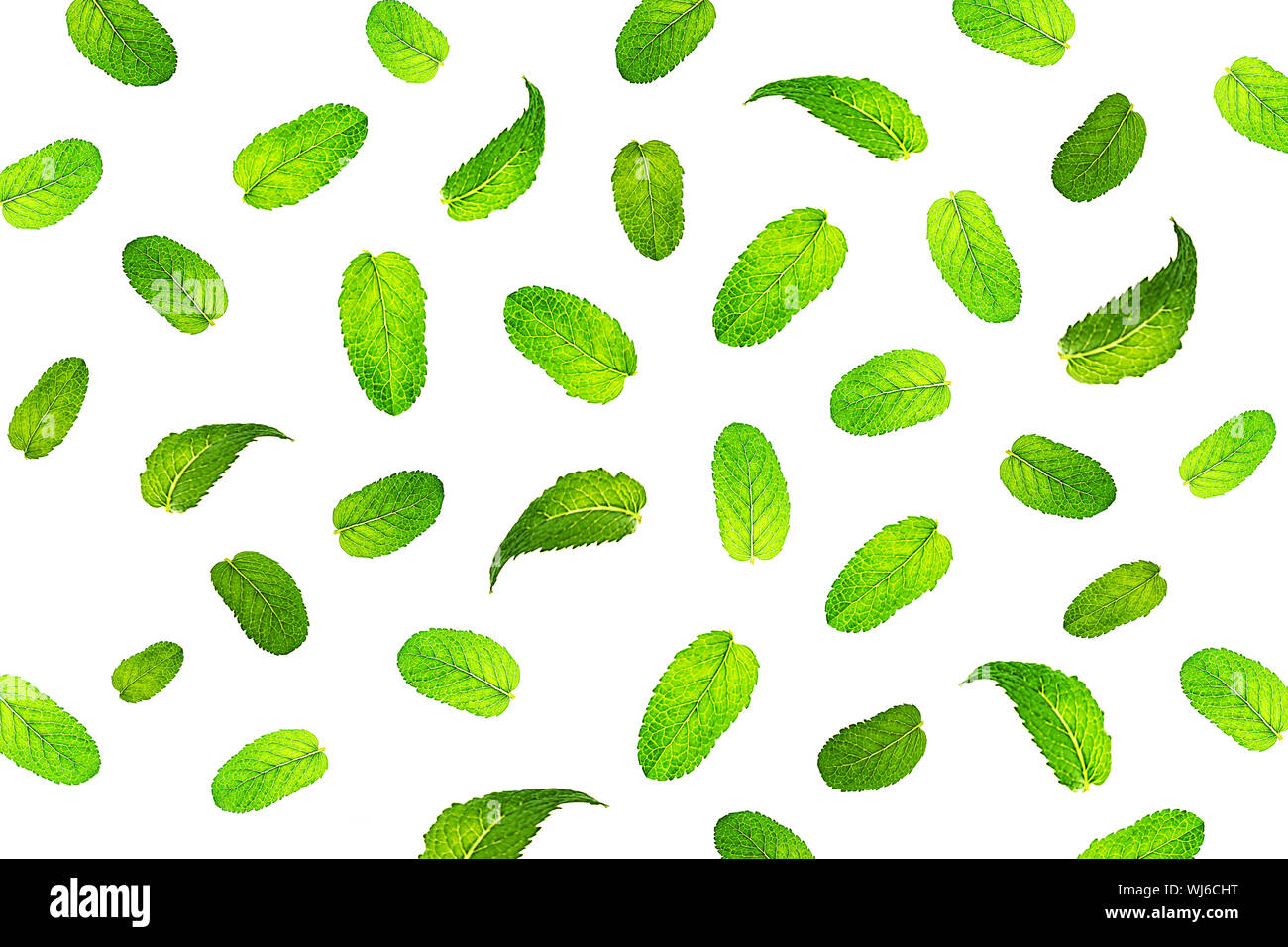 Fresh mint leaves pattern isolated on white background Stock Photo - Alamy