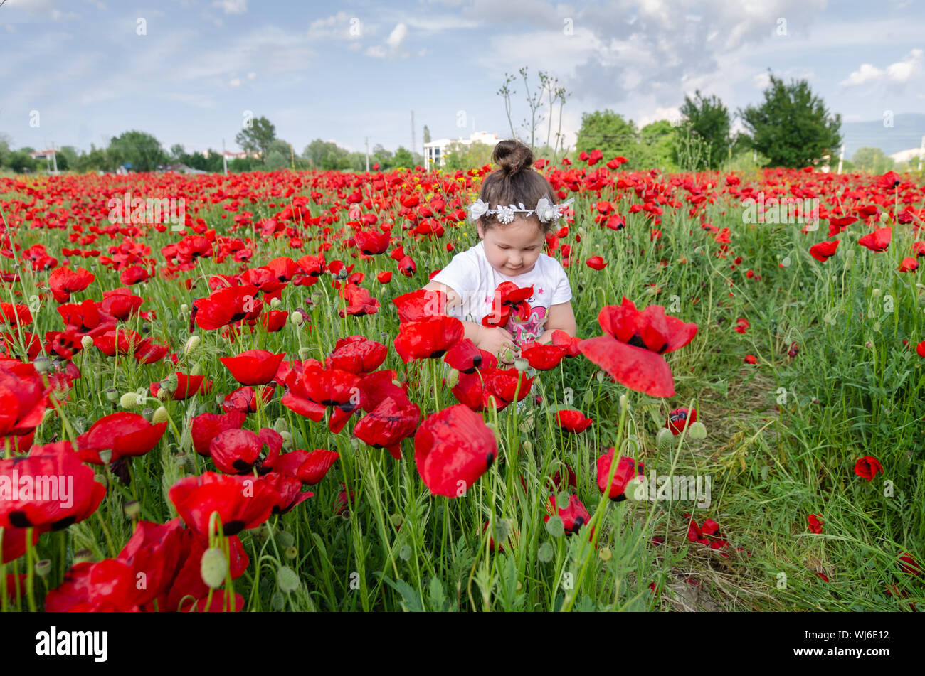 Girl collecting flowers hi-res stock photography and images - Alamy