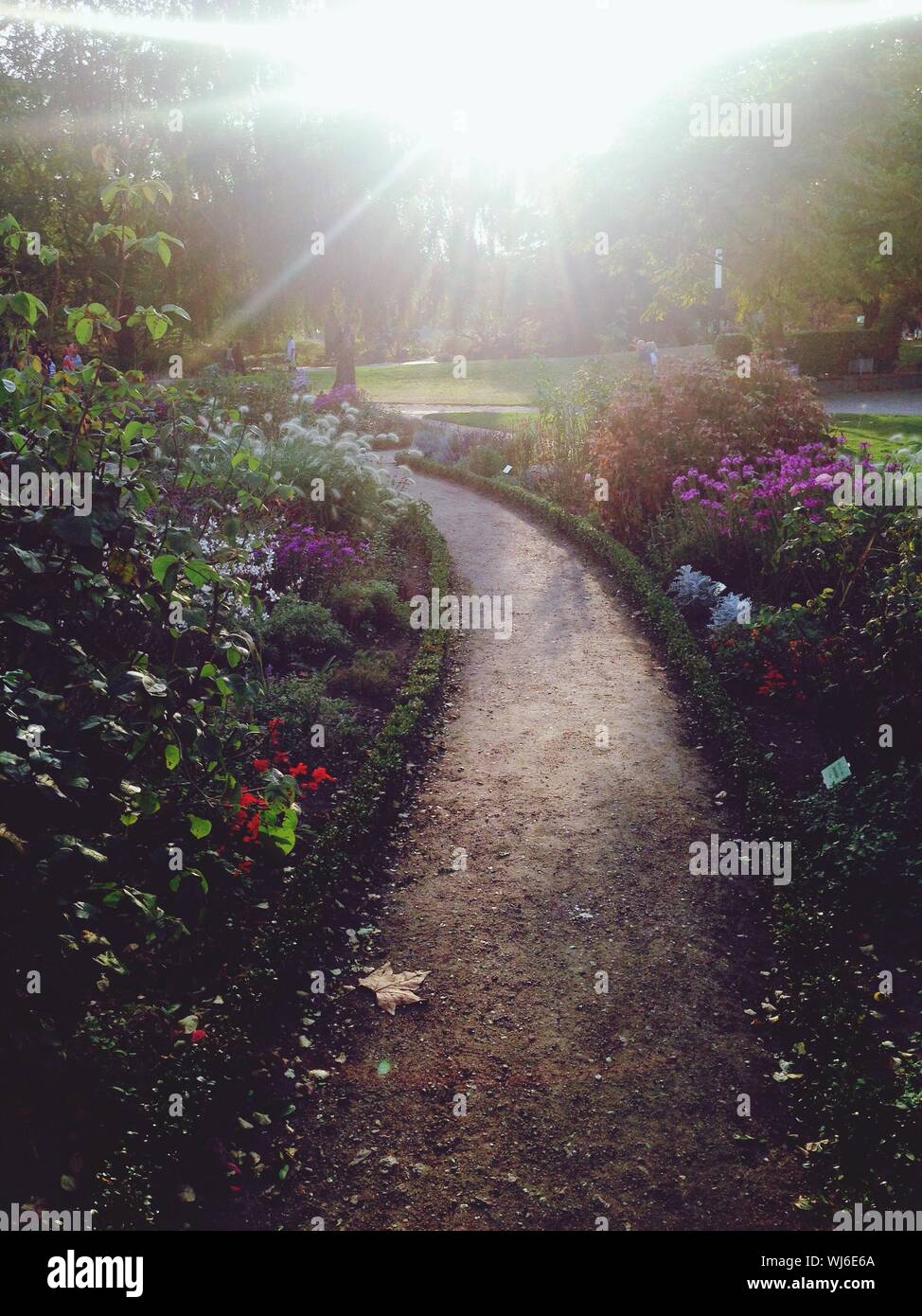 Backlit bench hi-res stock photography and images - Alamy