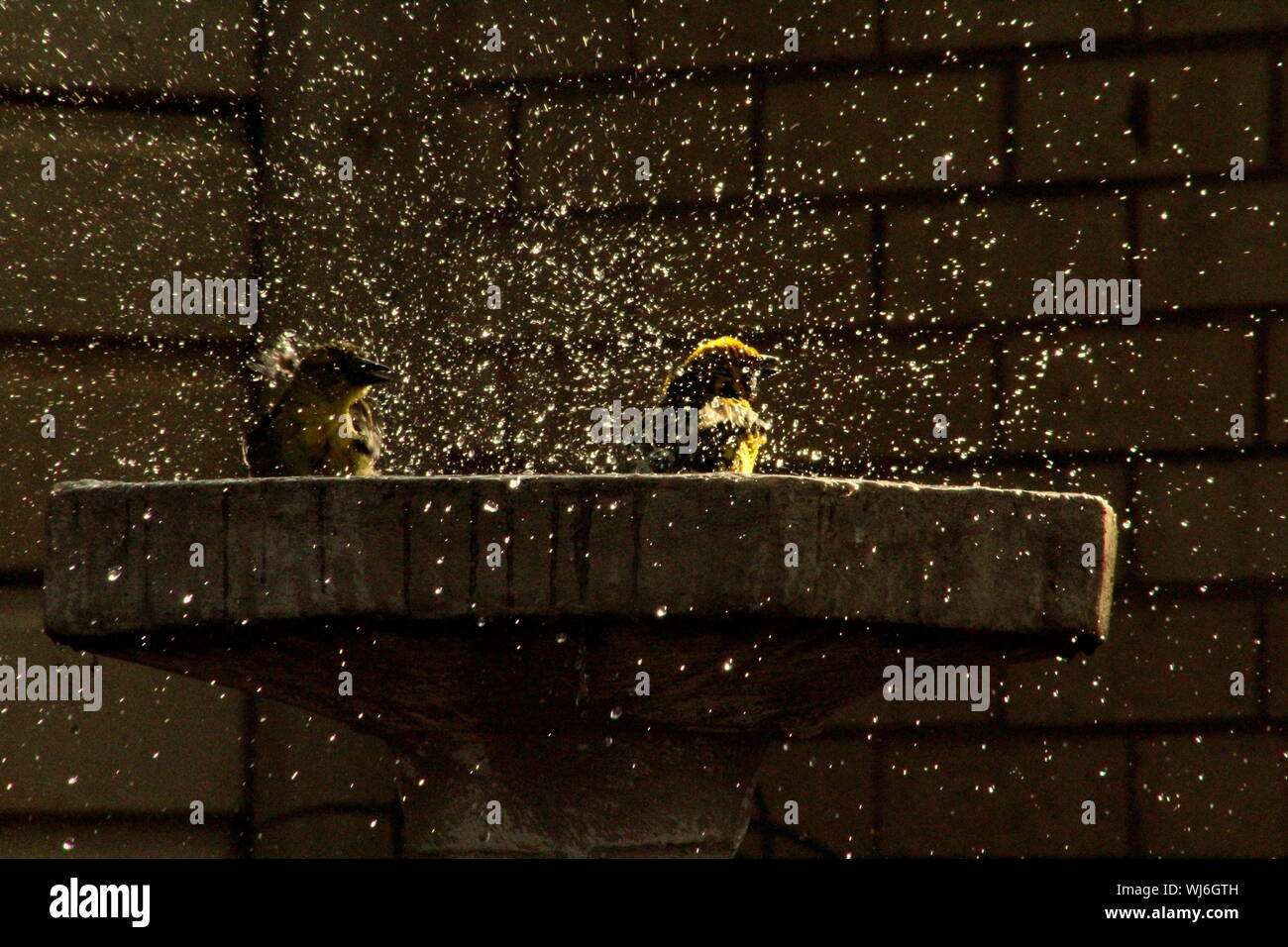 Column drop hi-res stock photography and images - Alamy