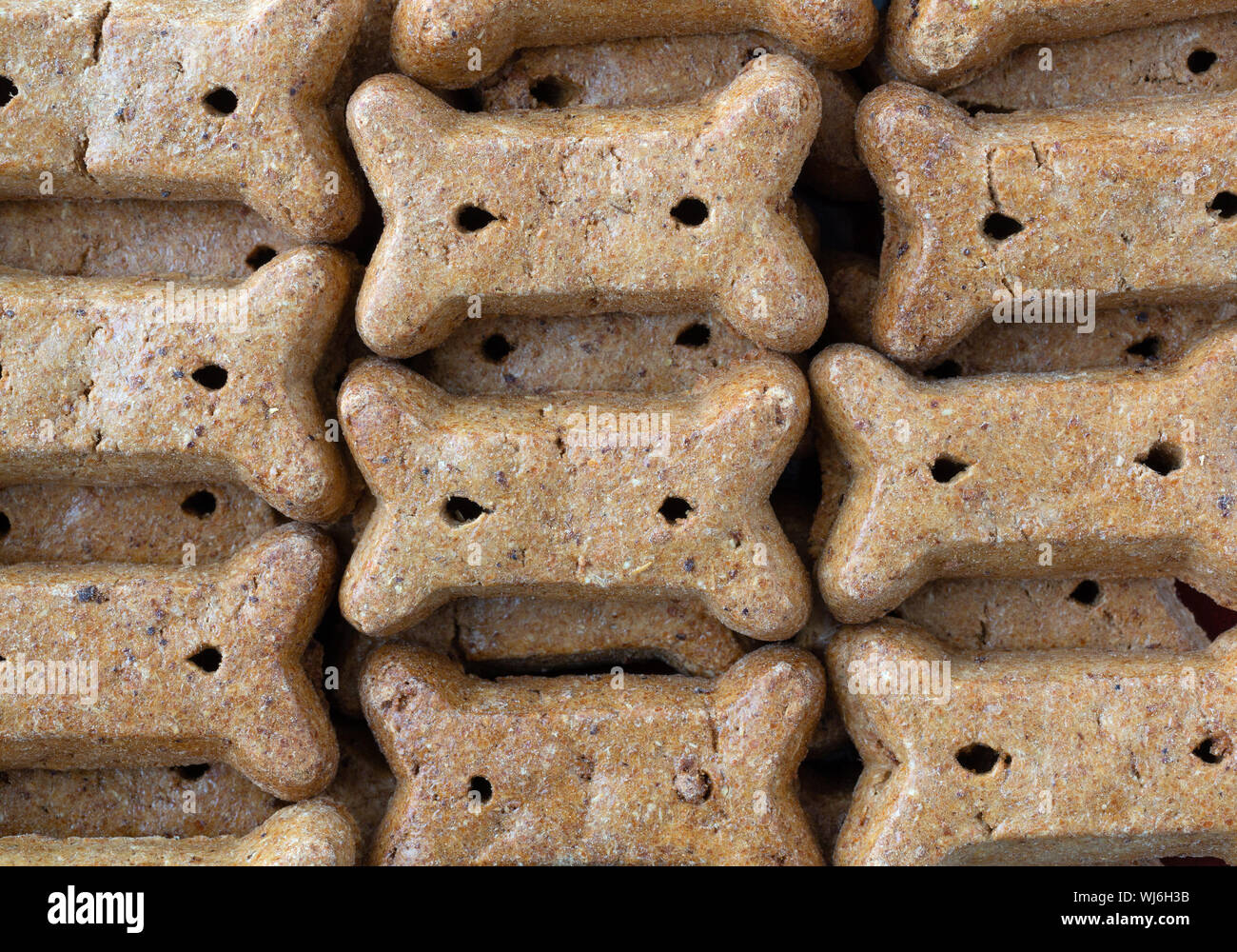 Peanut the dog hi-res stock photography and images - Alamy