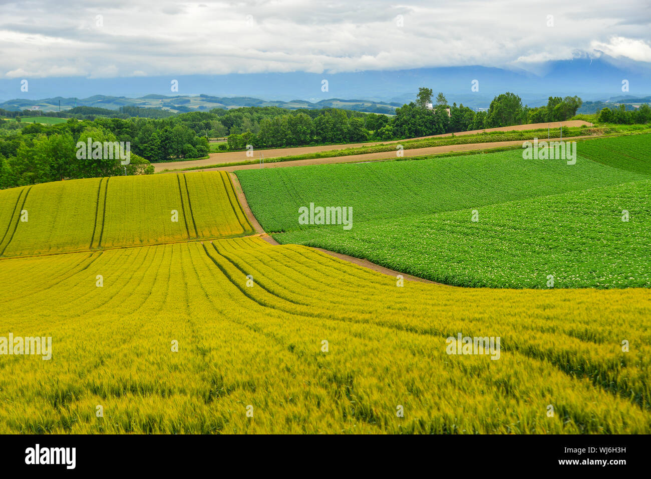 Beautiful rural scenery at summer day in Furano Township, Hokkaido ...