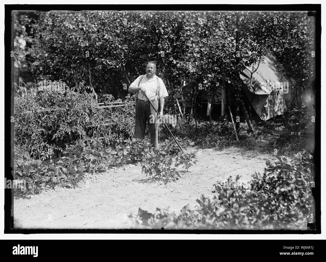Working plants in garden Cut Out Stock Images & Pictures - Alamy