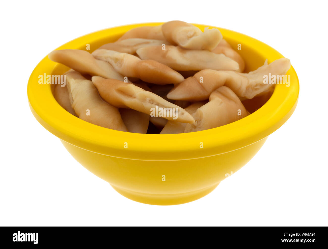 Side view of a yellow bowl filled with razor clams isolated on a white ...