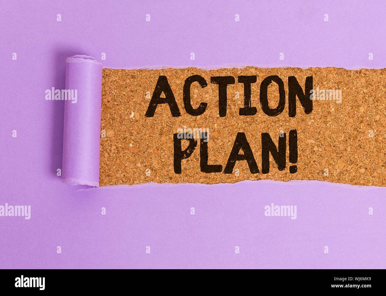 Conceptual hand writing showing Action Plan. Concept meaning proposed ...