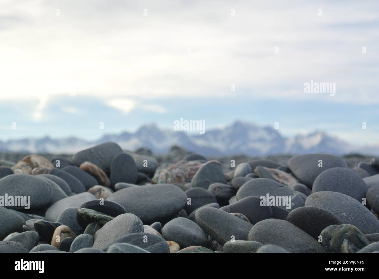 Pebbles on beach new zealand hi-res stock photography and images - Alamy