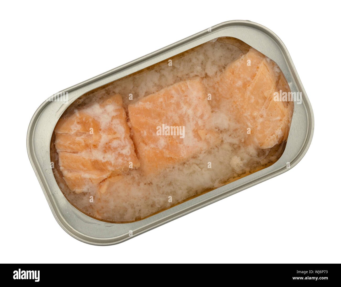 Top view of an open tin of salmon in water isolated on a white ...