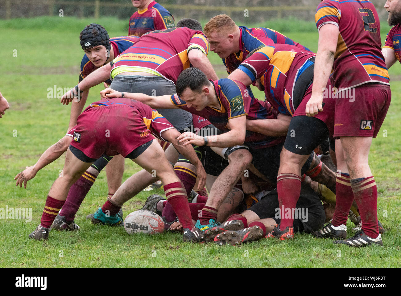People participating in playing rugby, Clitheroe, Lancashire Stock ...