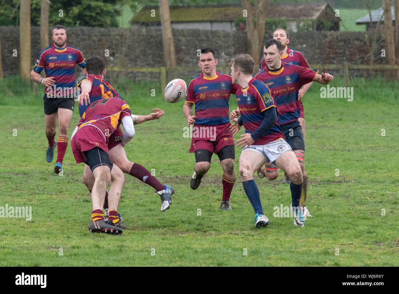 People participating in playing rugby, Clitheroe, Lancashire Stock ...