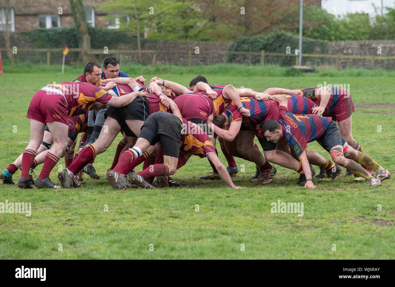 Amateur rugby players hi-res stock photography and images - Alamy