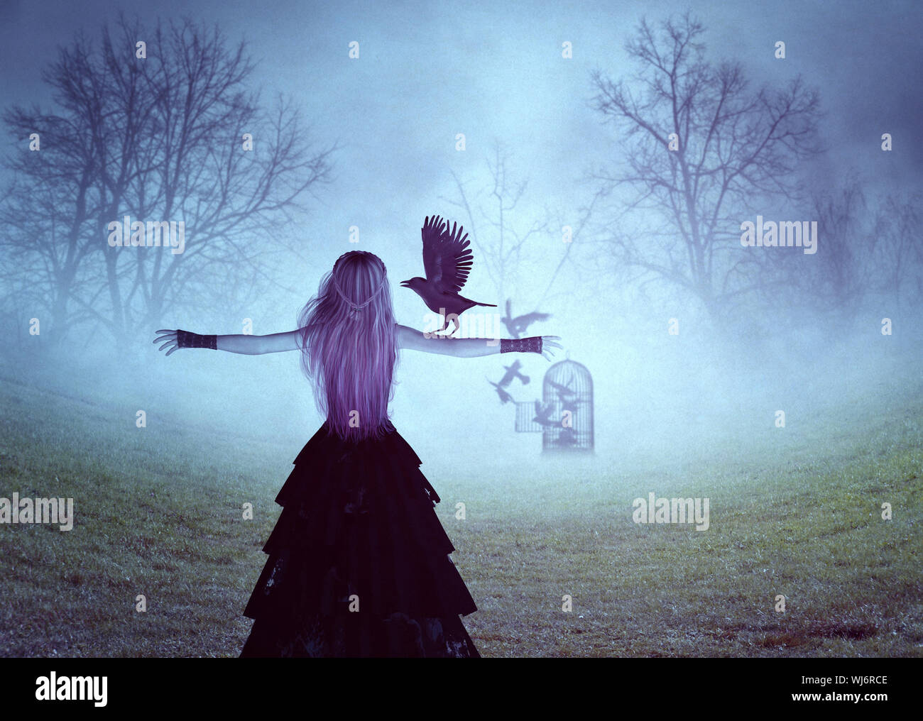 Dark foggy scene with a 3d rendered witch woman with a crows, digital ...