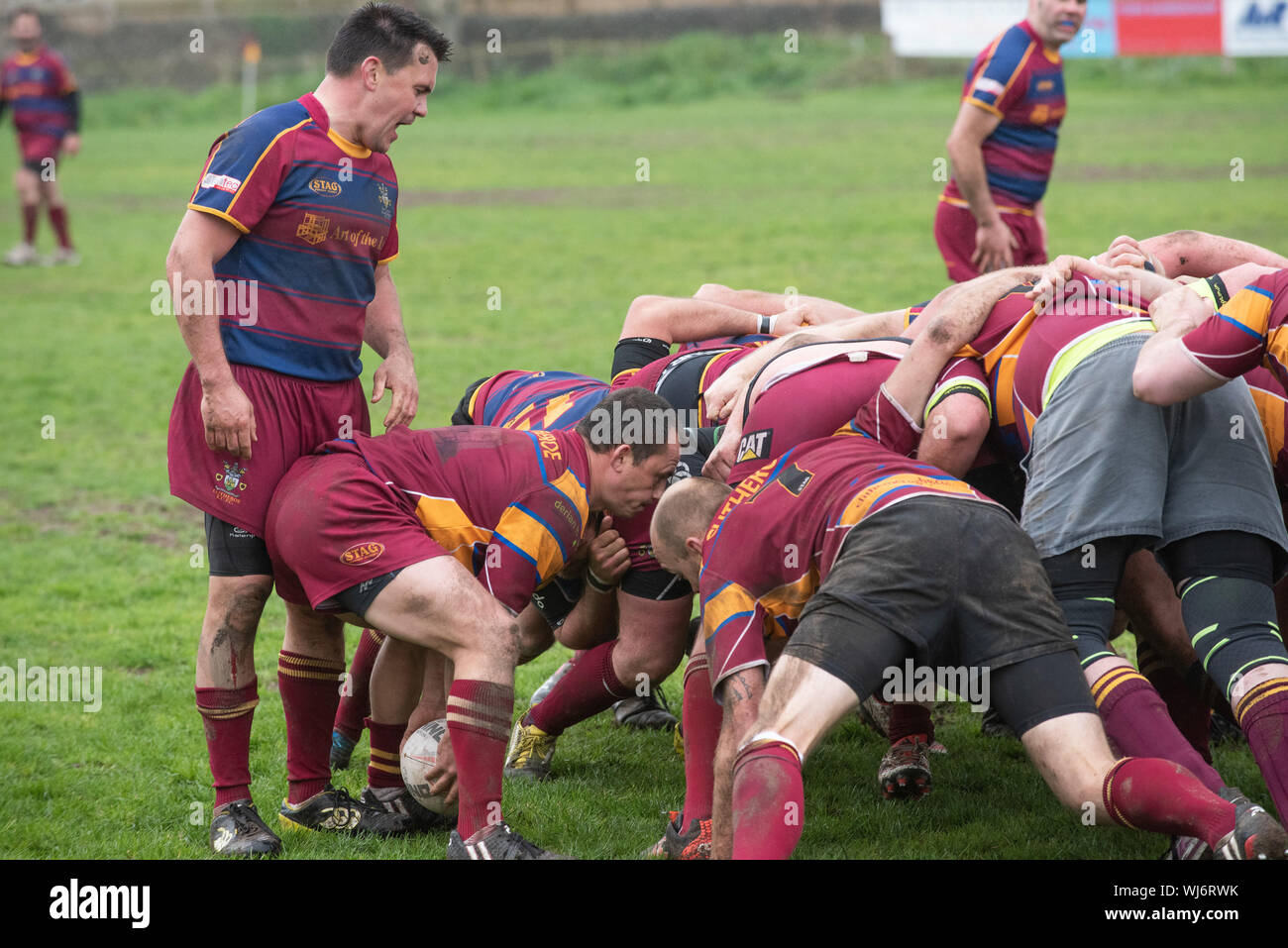 People participating in playing rugby, Clitheroe, Lancashire Stock ...