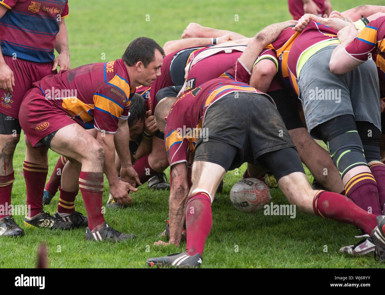 People participating in playing rugby, Clitheroe, Lancashire Stock ...