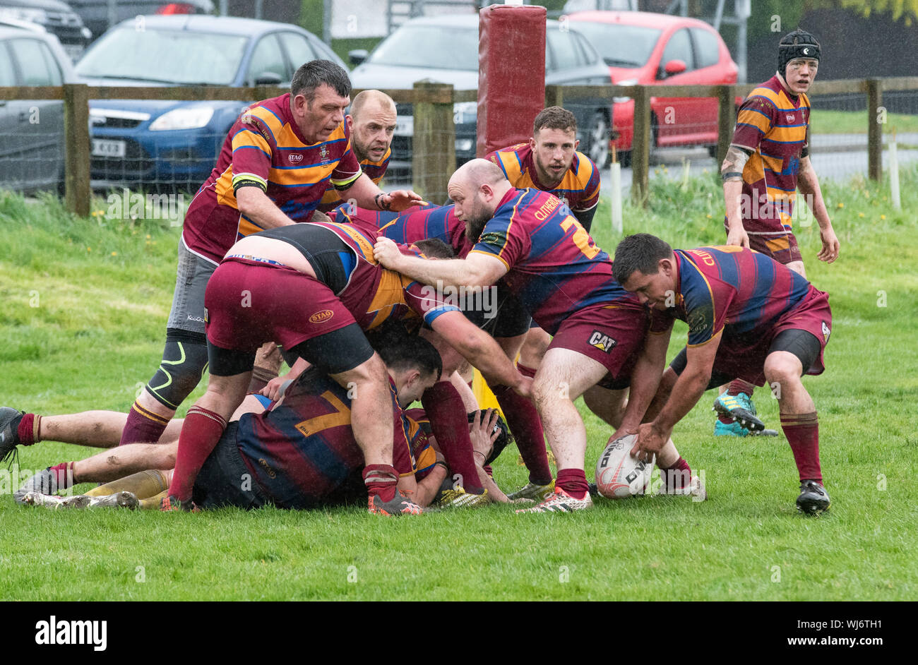 Male rugby team hi-res stock photography and images - Alamy