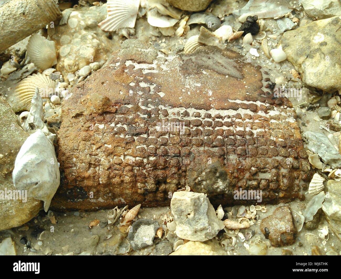 Patterned beach hi-res stock photography and images - Alamy