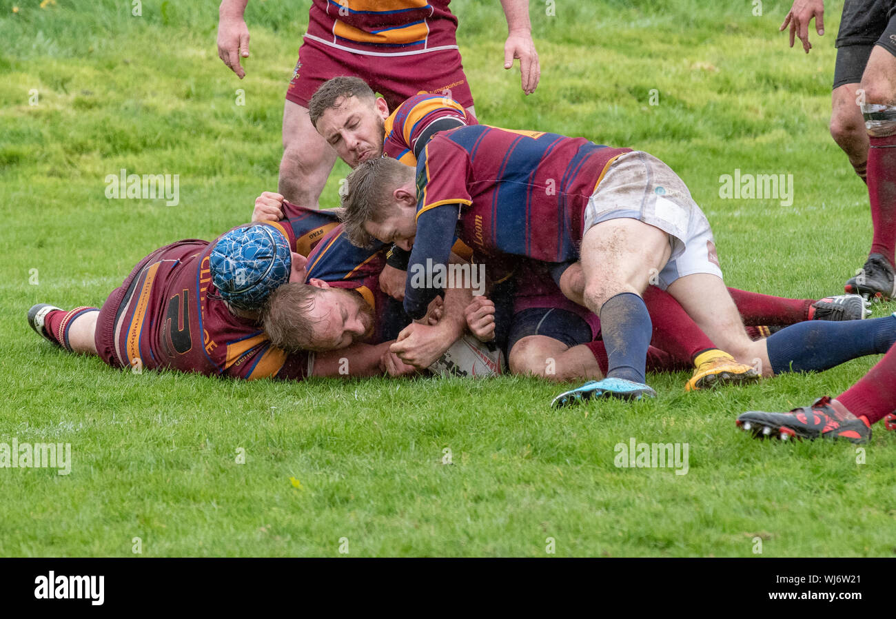 People participating in playing rugby, Clitheroe, Lancashire Stock ...