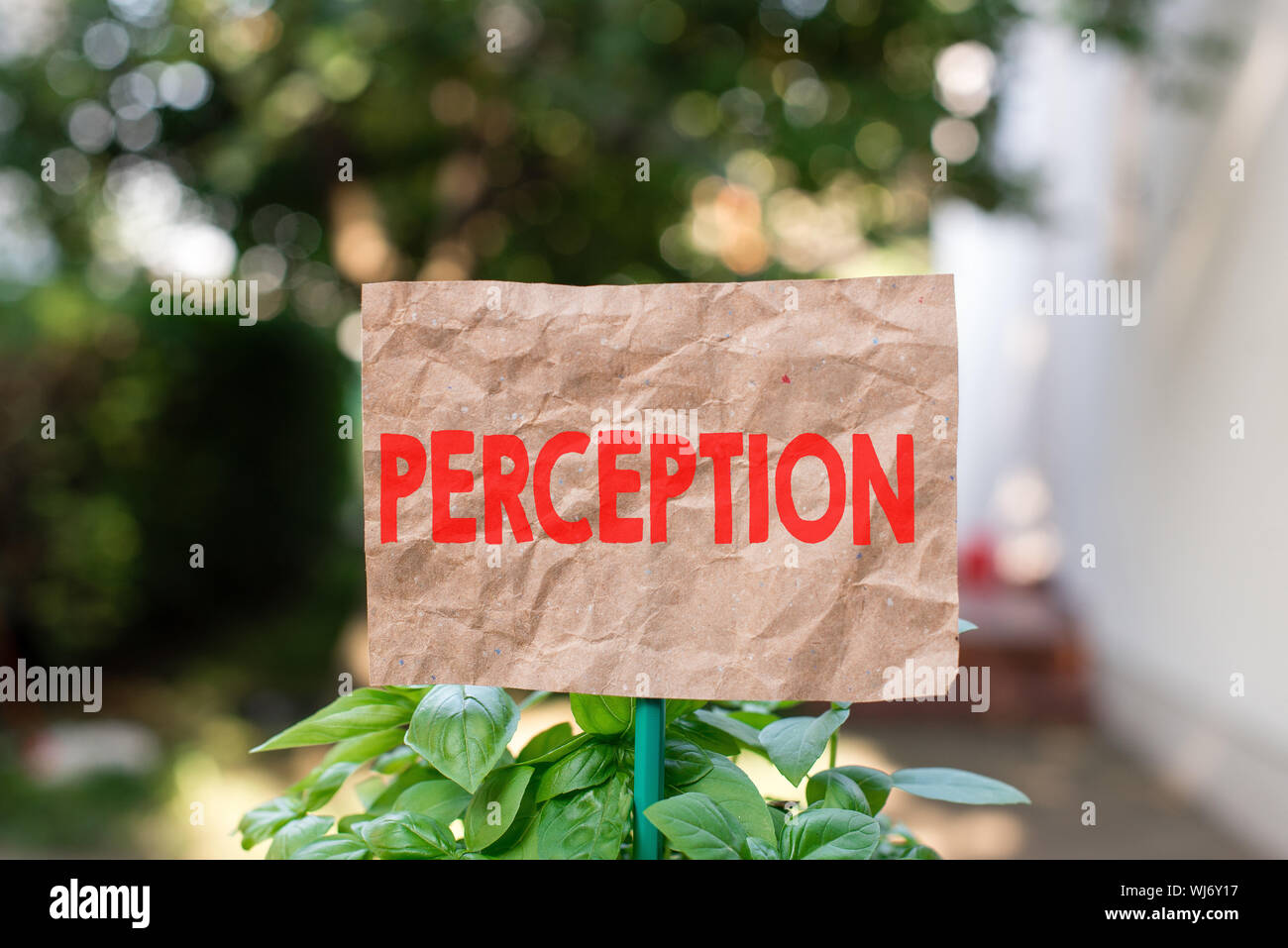 Word writing text Perception. Business photo showcasing individuals ...