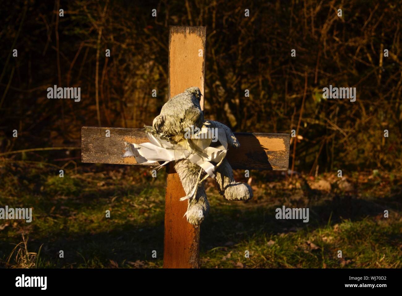 Bear the cross hi-res stock photography and images - Alamy