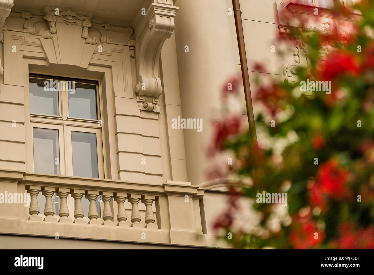 hanging red geraniums near ancient building Stock Photo - Alamy