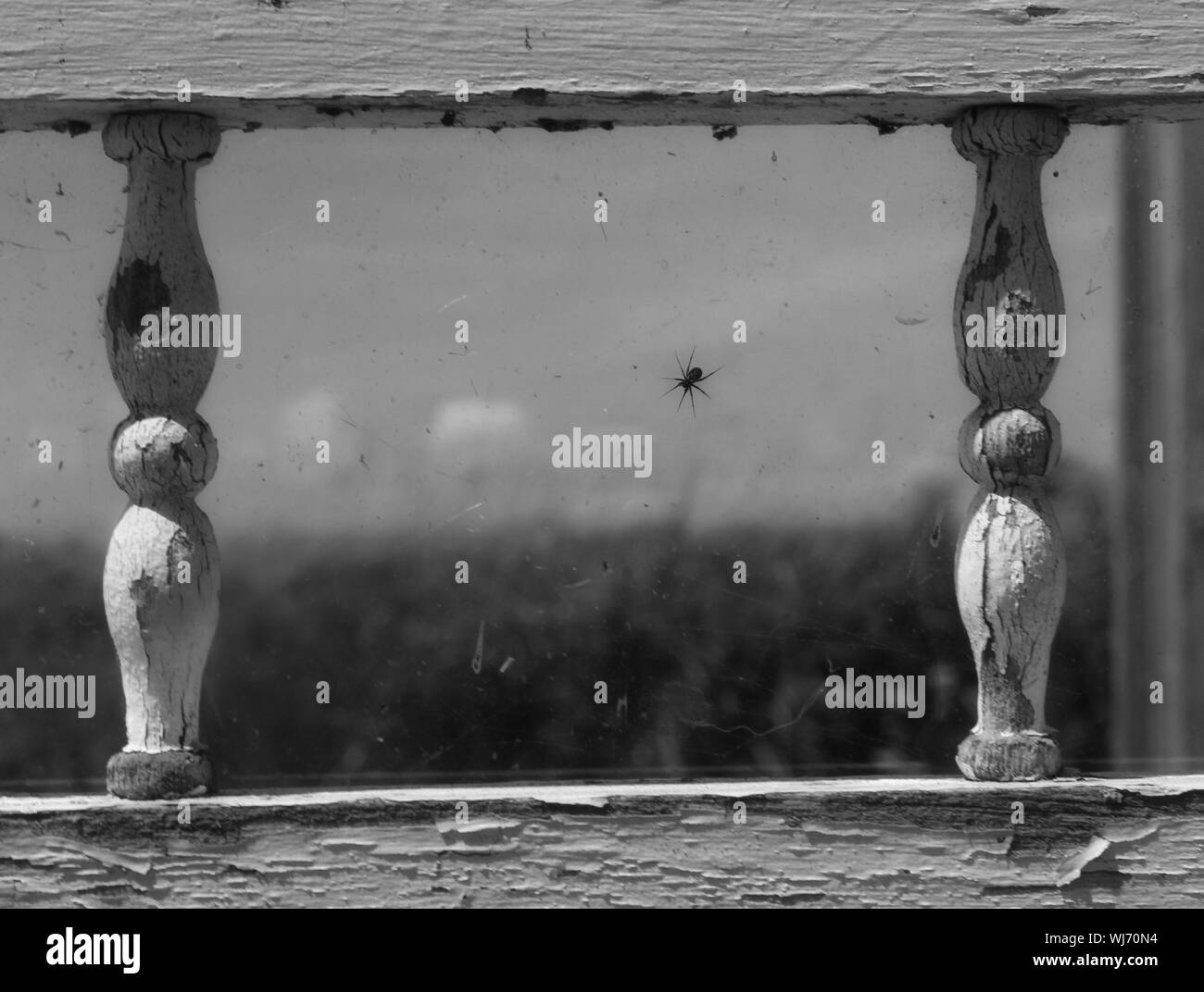 Spider Glass High Resolution Stock Photography and Images - Alamy