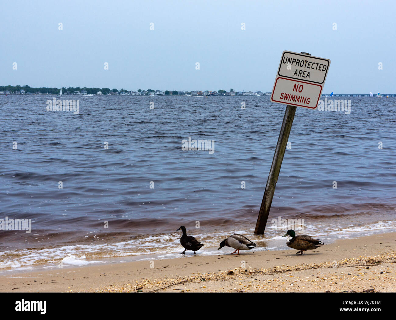 Unprotected area hi-res stock photography and images - Alamy