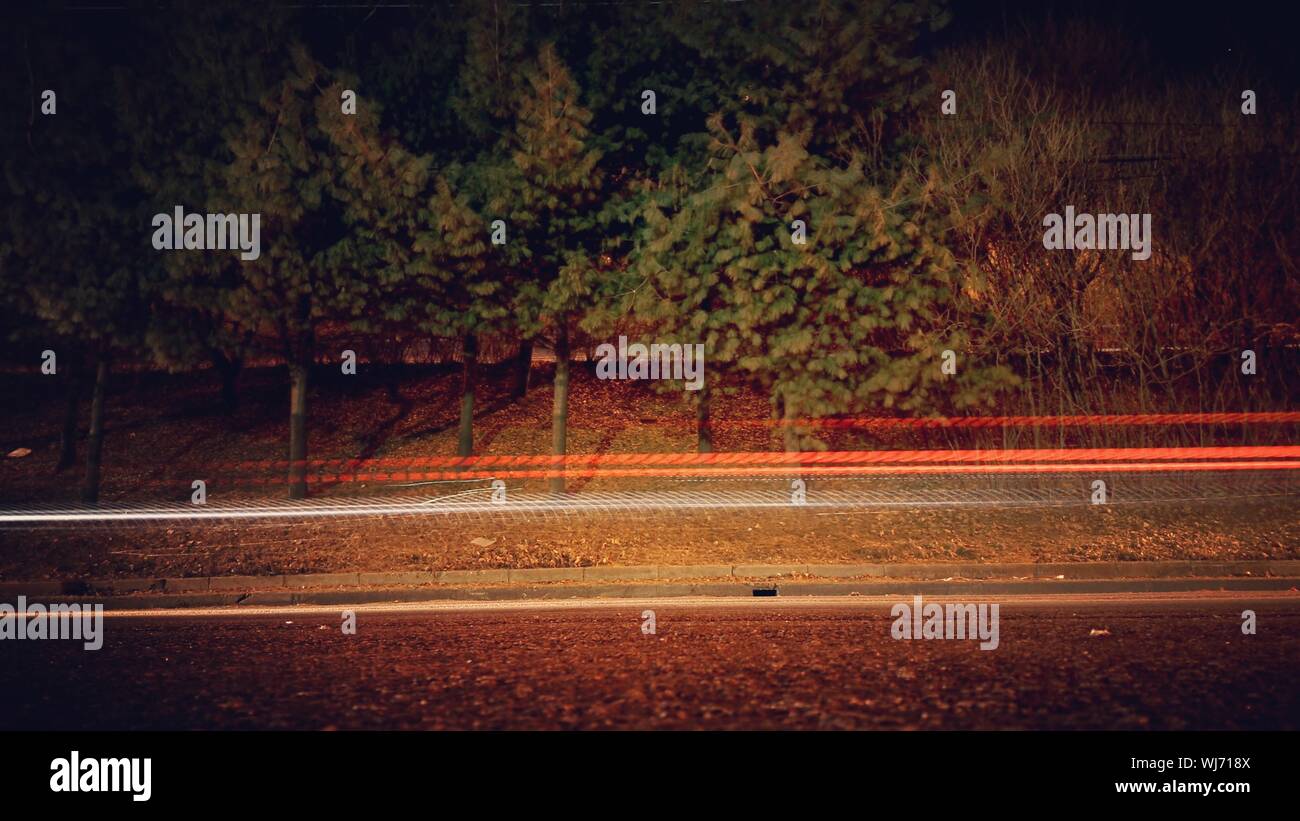 Night forest road hi-res stock photography and images - Alamy