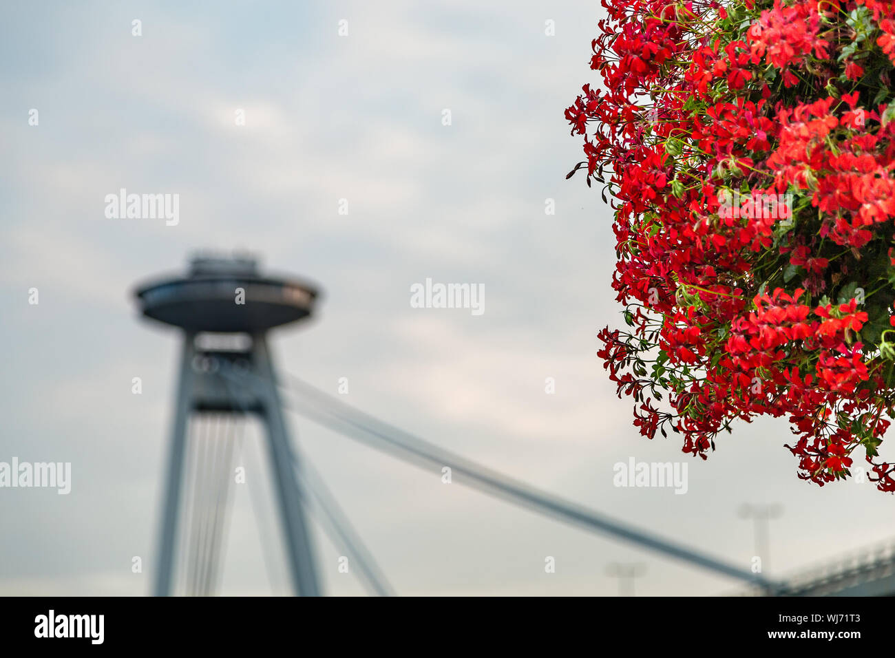hanging red geraniums near steel tower Stock Photo - Alamy