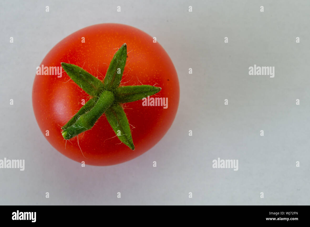 Close up view tomato plants hi-res stock photography and images - Alamy