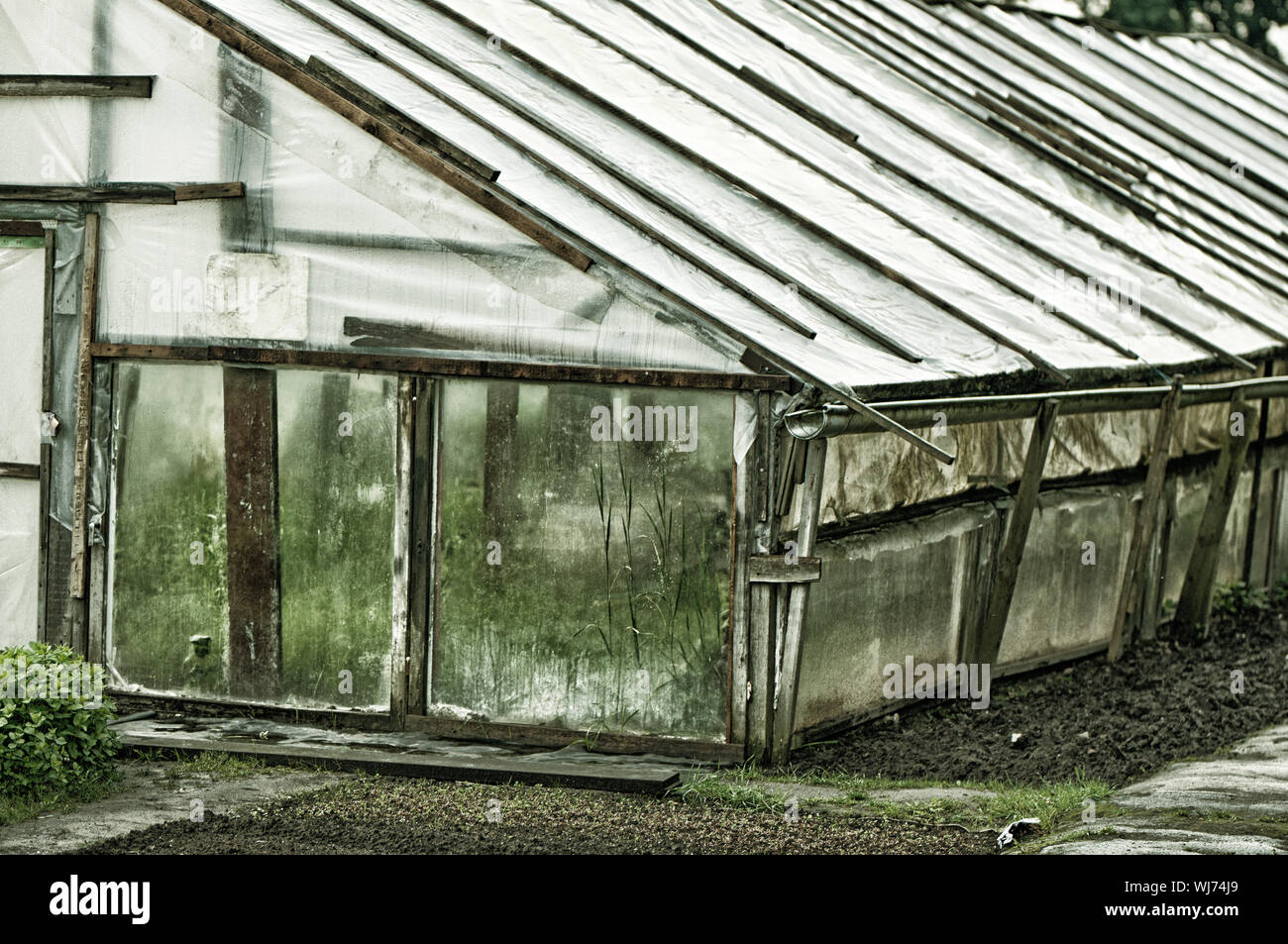 Old greenhouse hi-res stock photography and images - Alamy