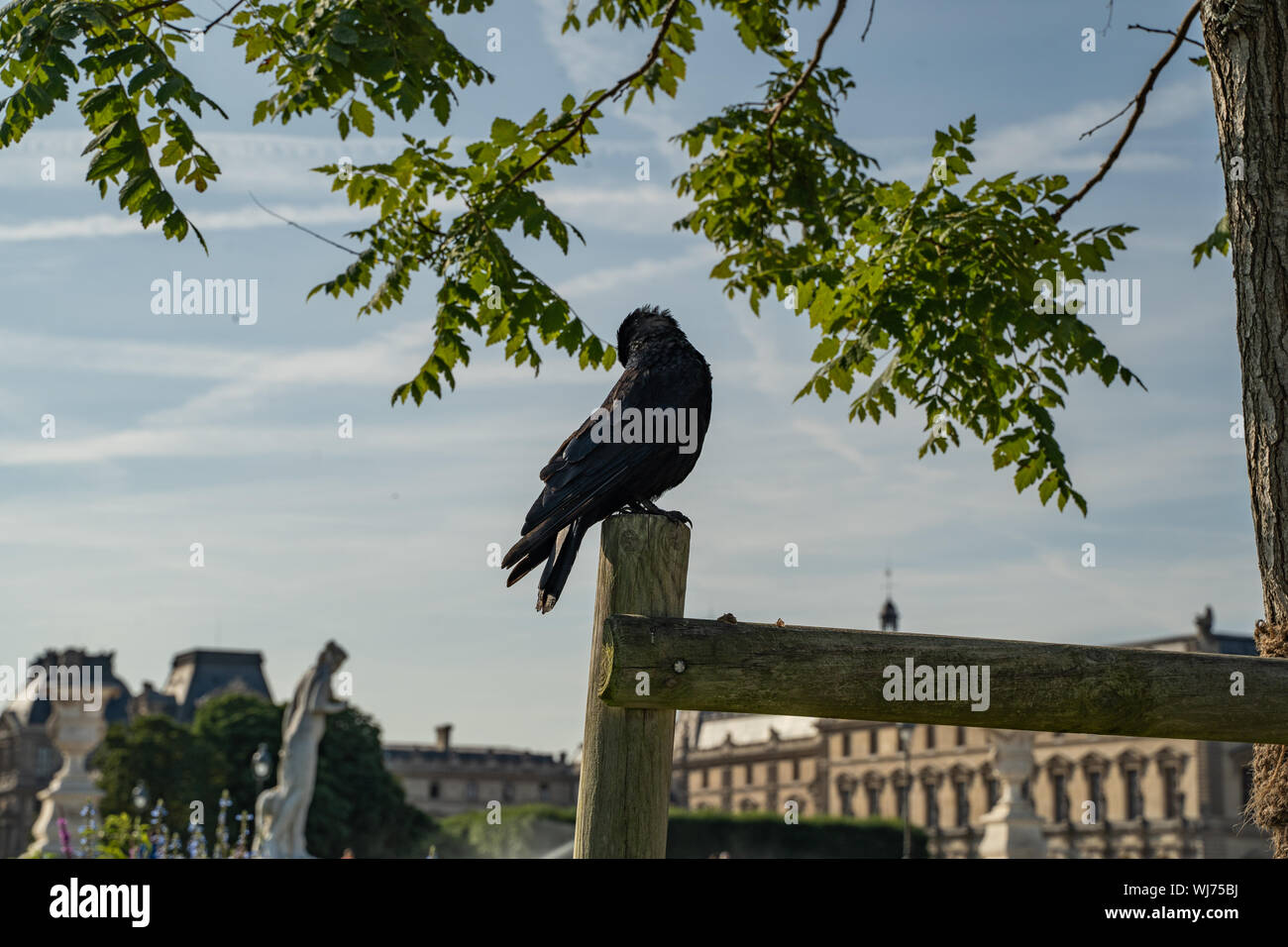 Crow castel hi-res stock photography and images - Alamy