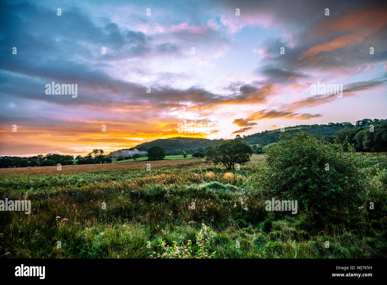 Tregaron hi-res stock photography and images - Alamy