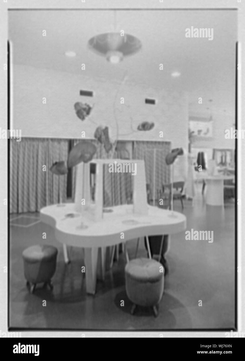 Franklin brown Black and White Stock Photos & Images - Alamy