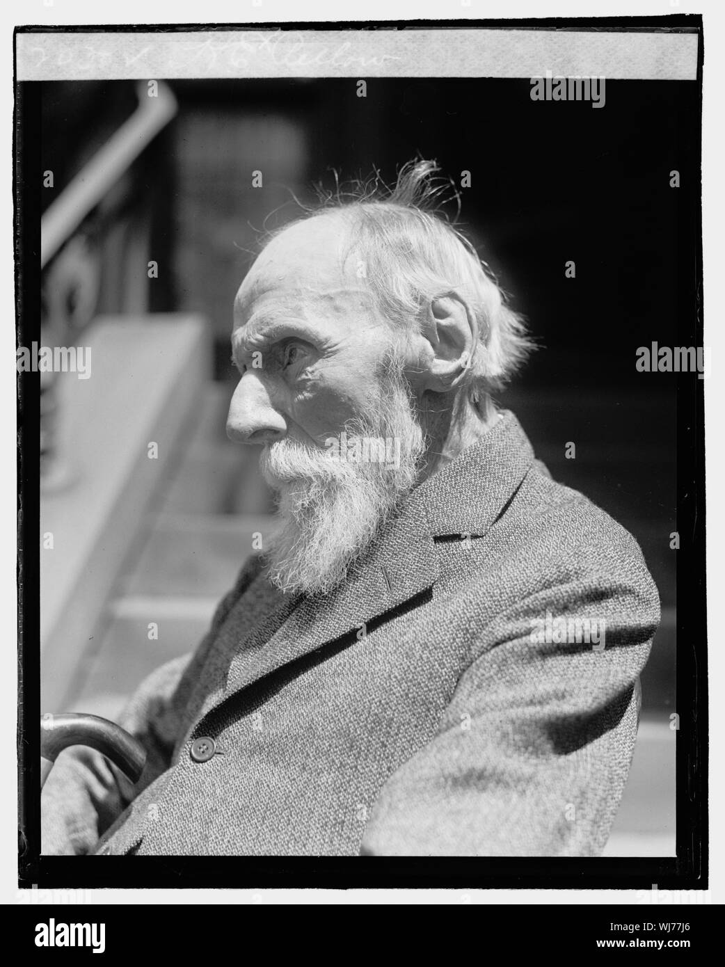 Pellow hi-res stock photography and images - Alamy