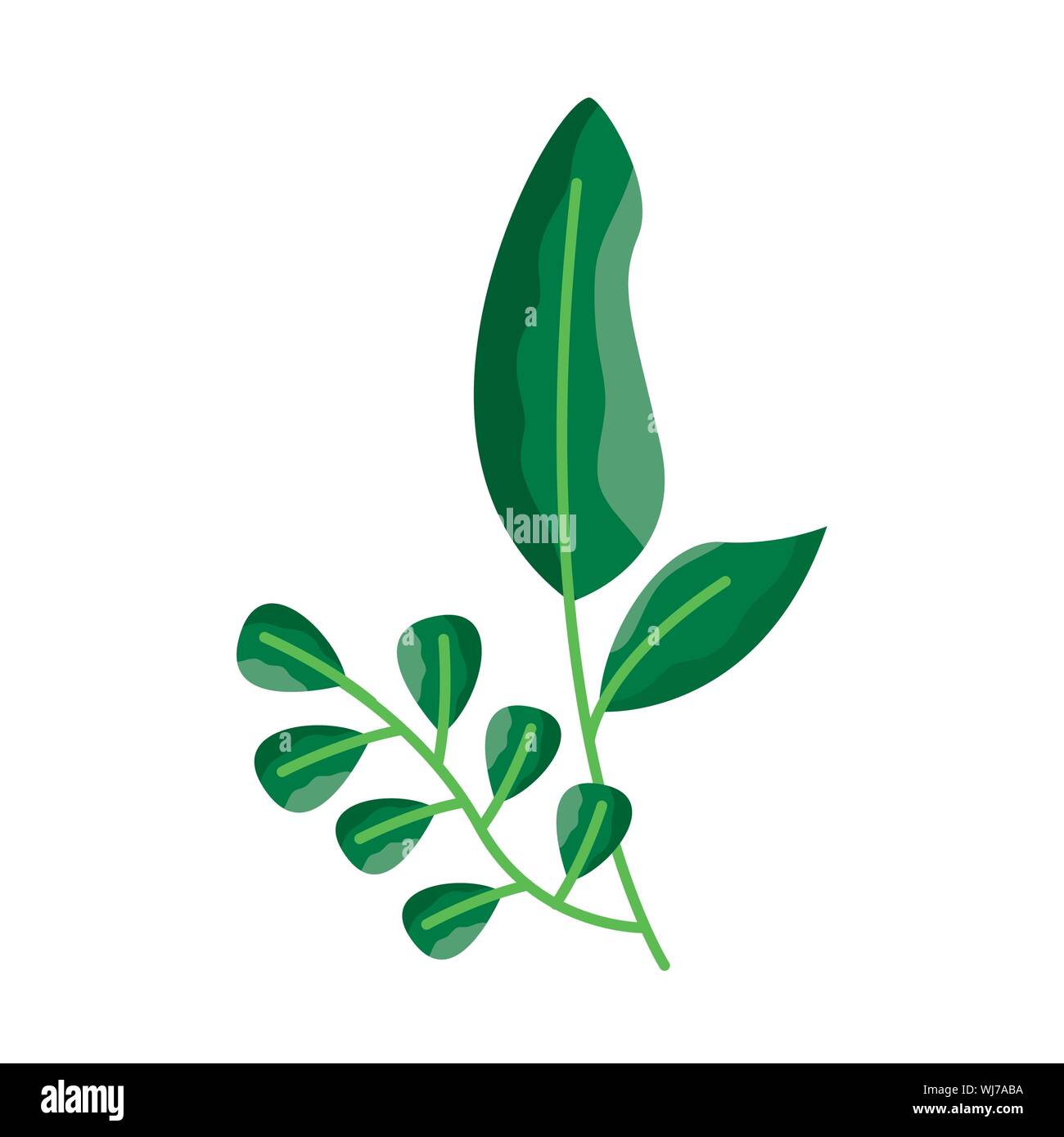 Isolated leaves vector design Stock Vector Image & Art - Alamy