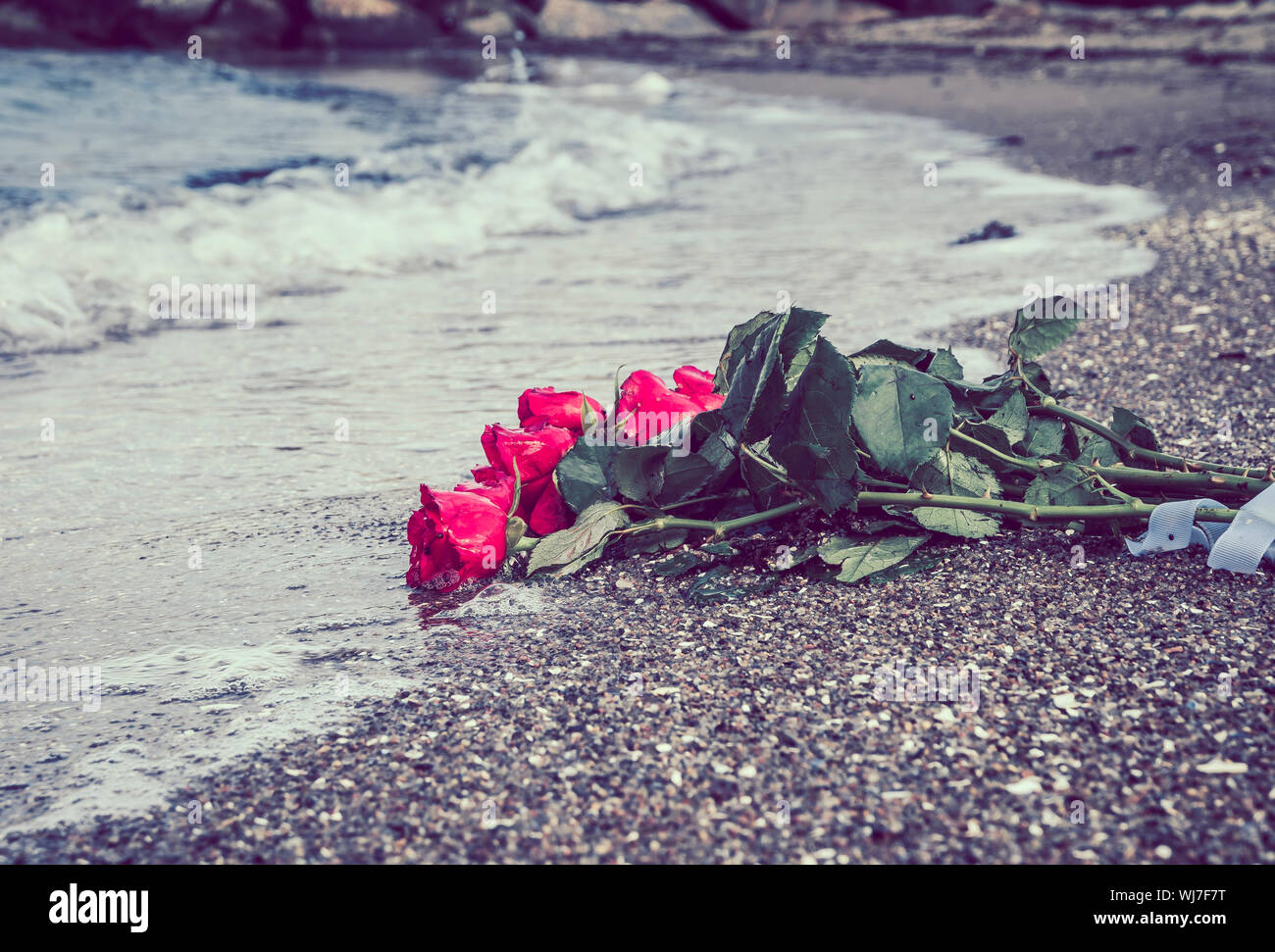 Red leaf beach hi-res stock photography and images - Alamy