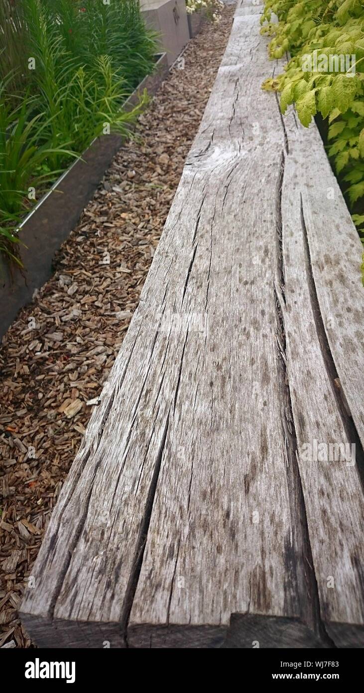 Single log of wood hi-res stock photography and images - Alamy