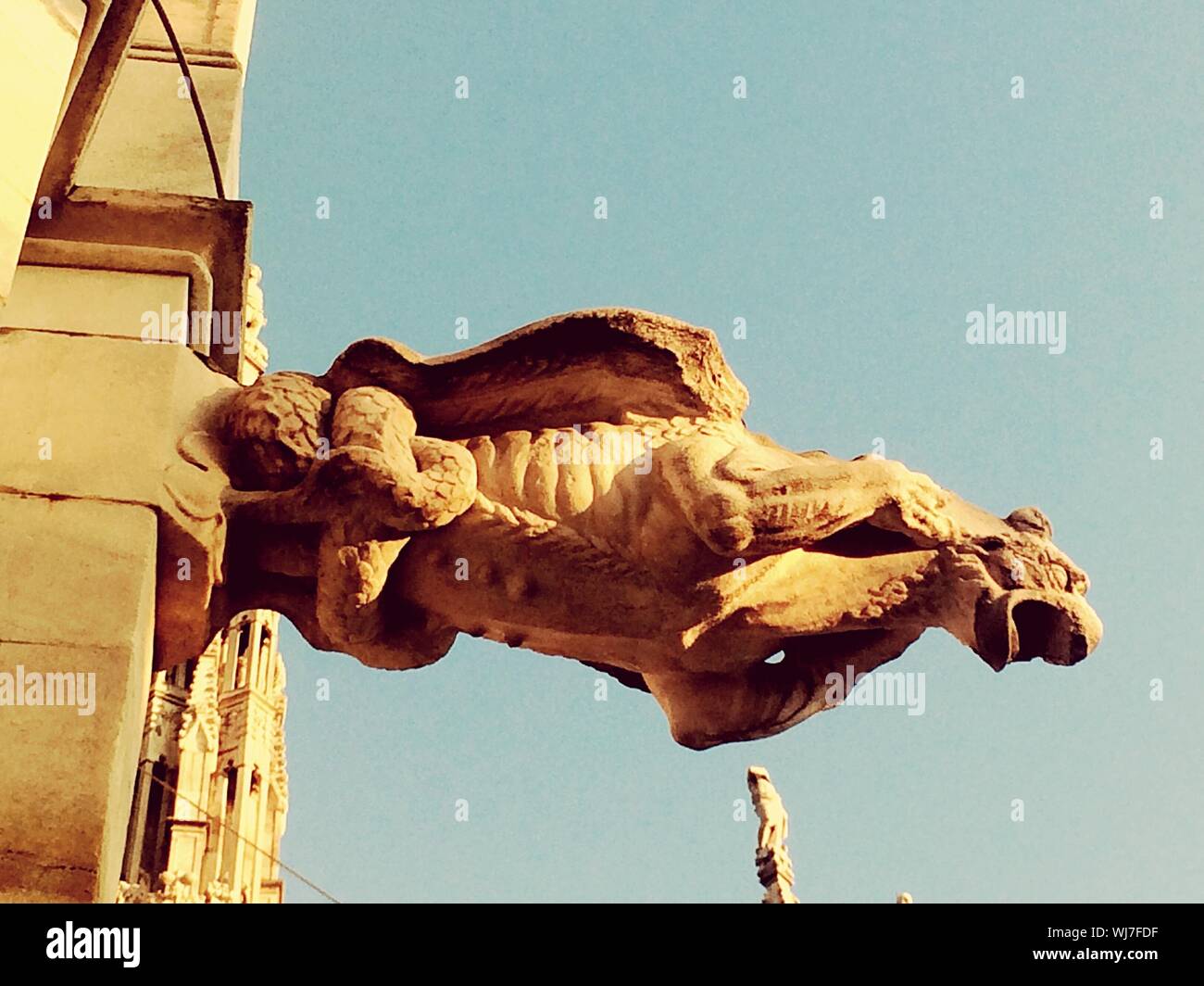 Building cathedral gargoyle sculpture hi-res stock photography and ...