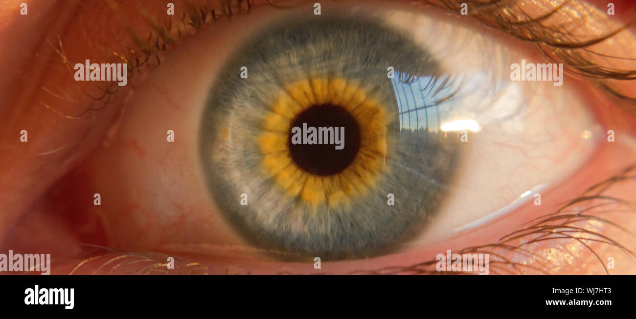 Yellow human eye hi-res stock photography and images - Alamy
