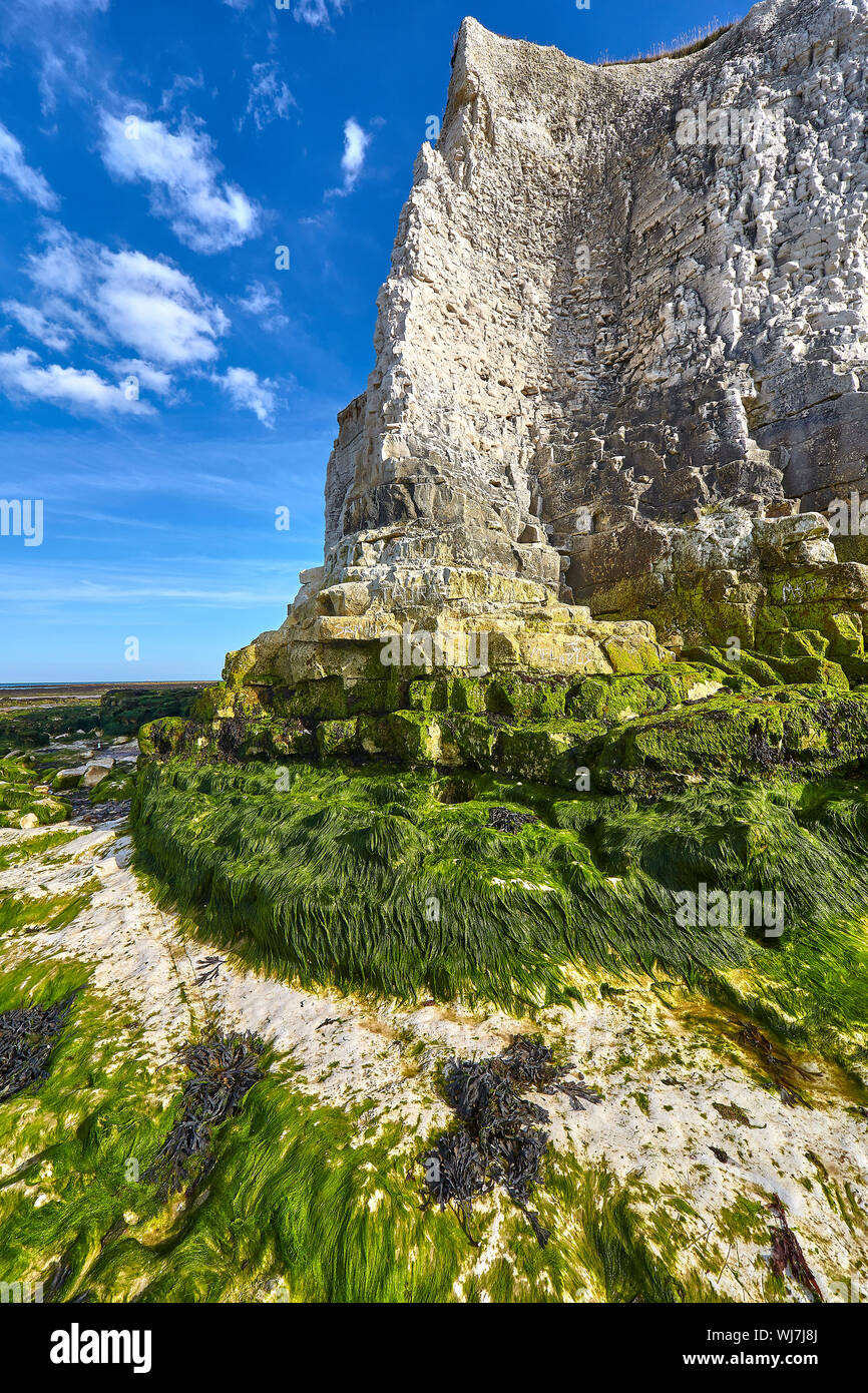 Botany Bay is the northernmost of seven bays in Broadstairs. It ...