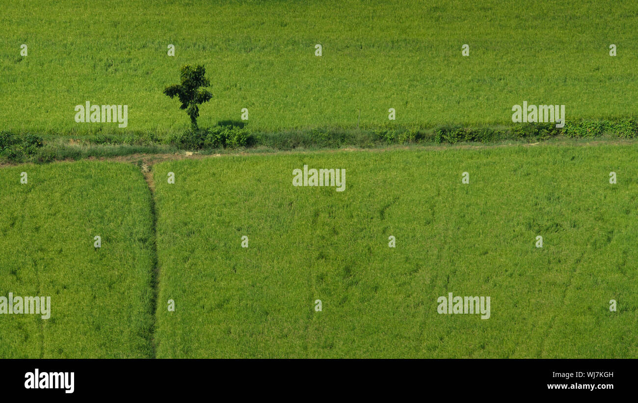 Grassland view hi-res stock photography and images - Alamy