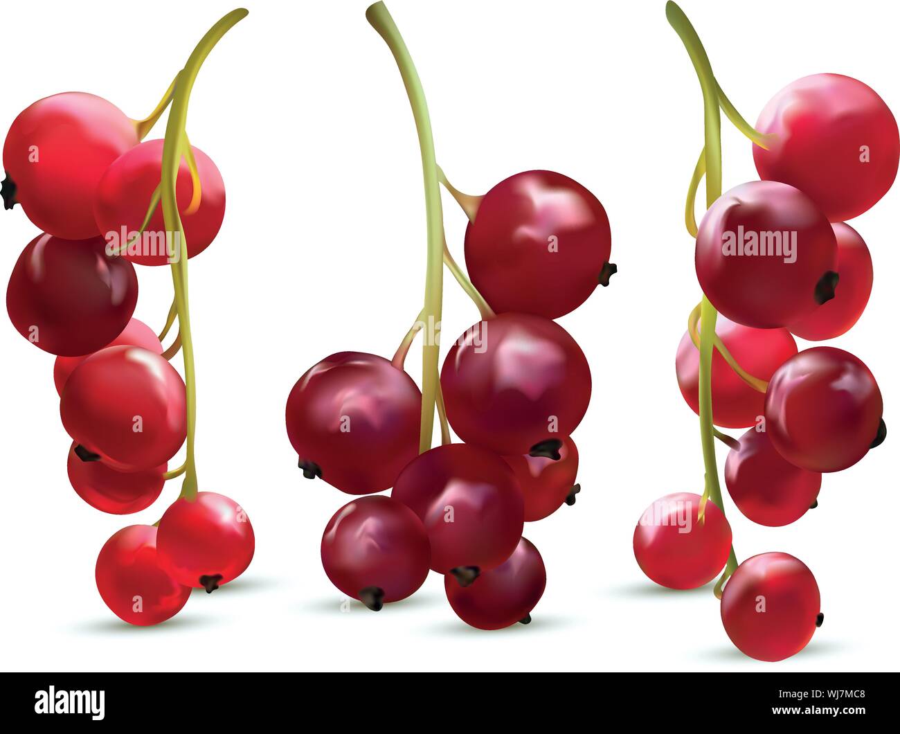 Collection red currant berry on white background. 3d realistic berries ...