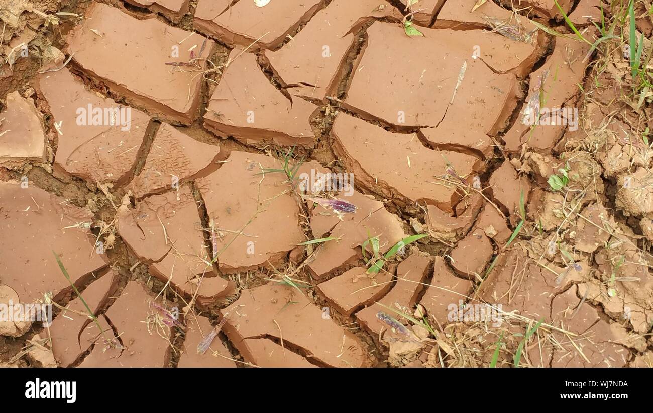 Mud desert hi-res stock photography and images - Alamy