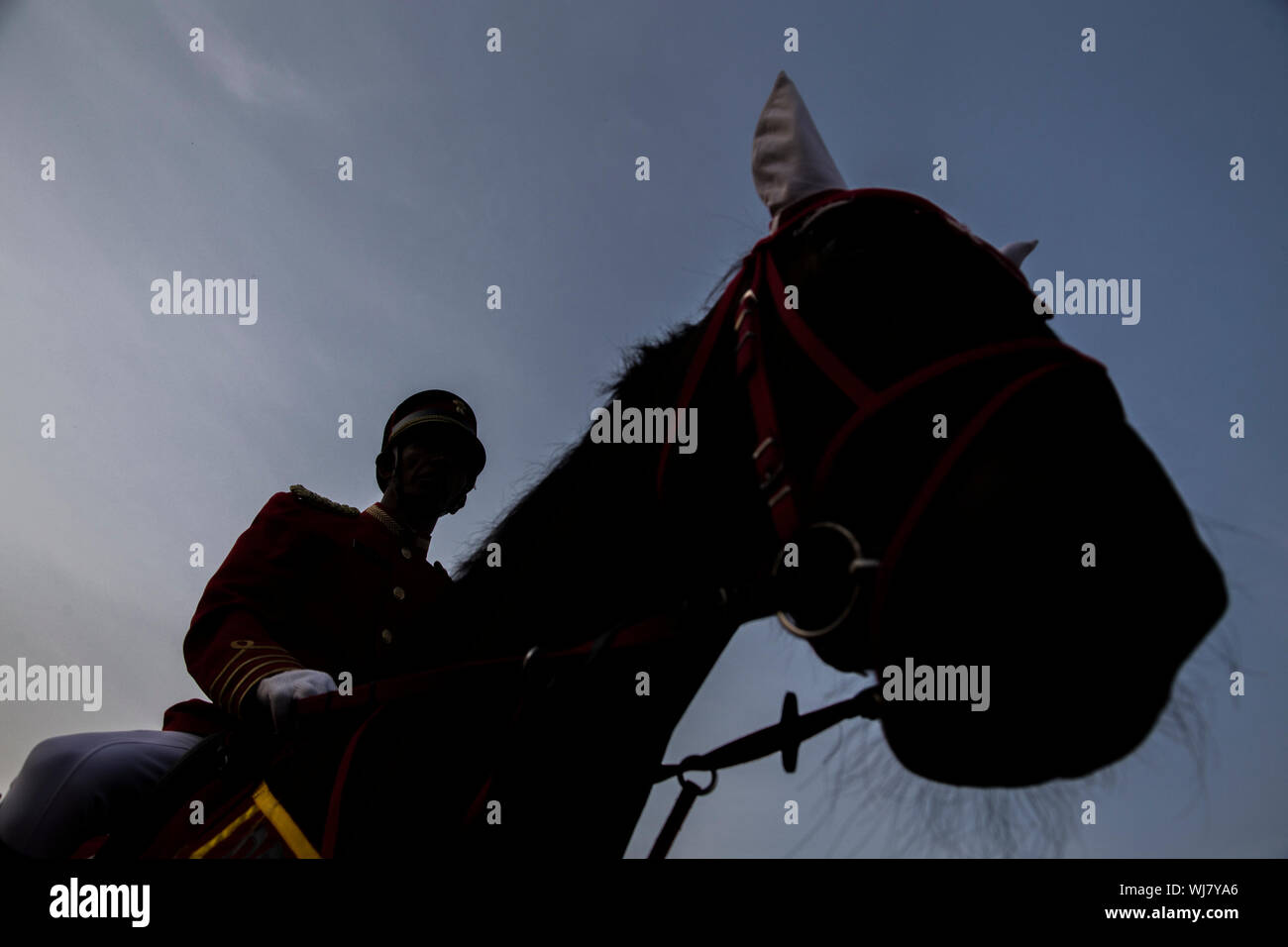 Guard To Horse High Resolution Stock Photography and Images - Alamy