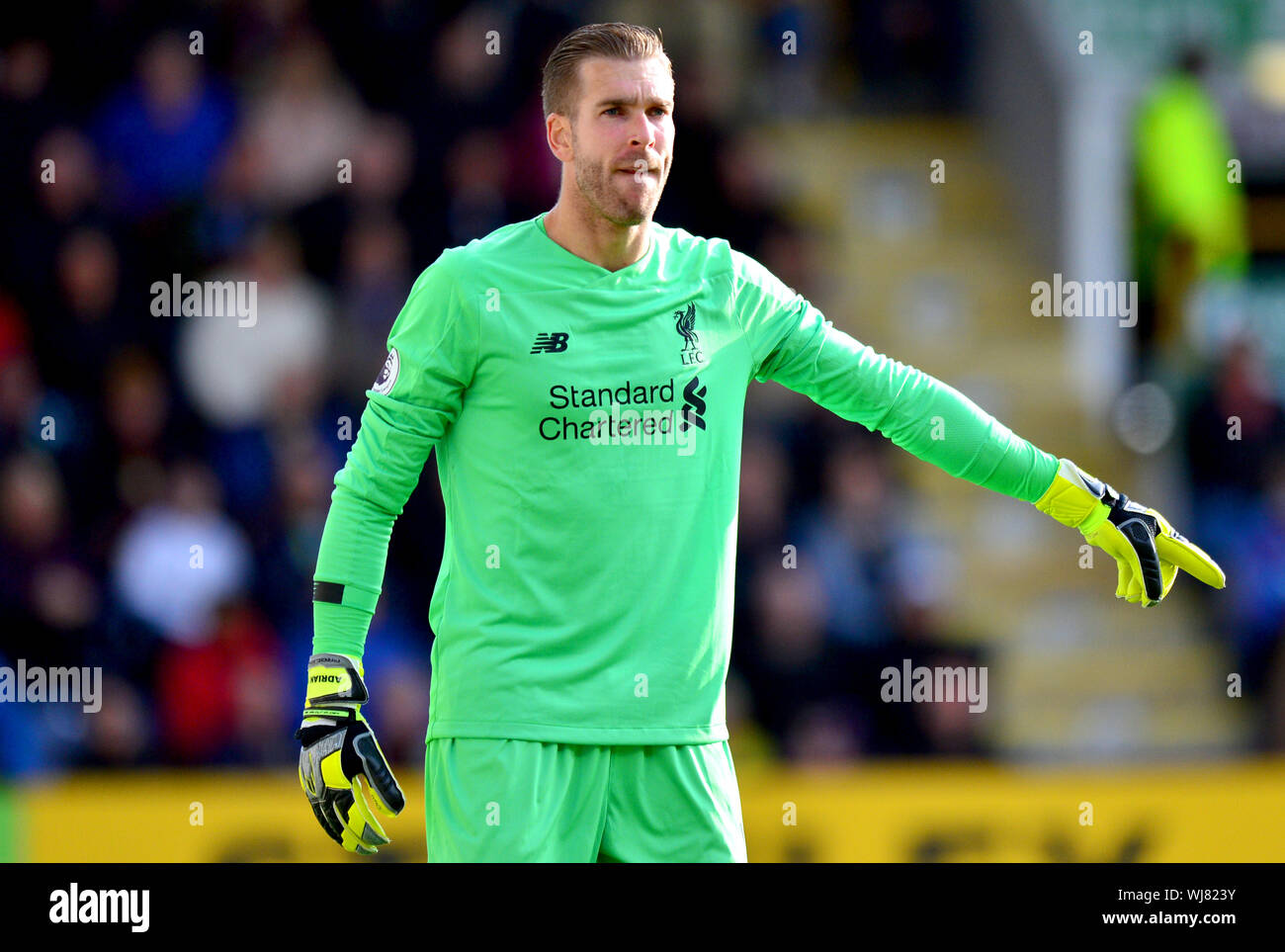 Liverpool goalkeeper Adrian in action during the Premier League match ...