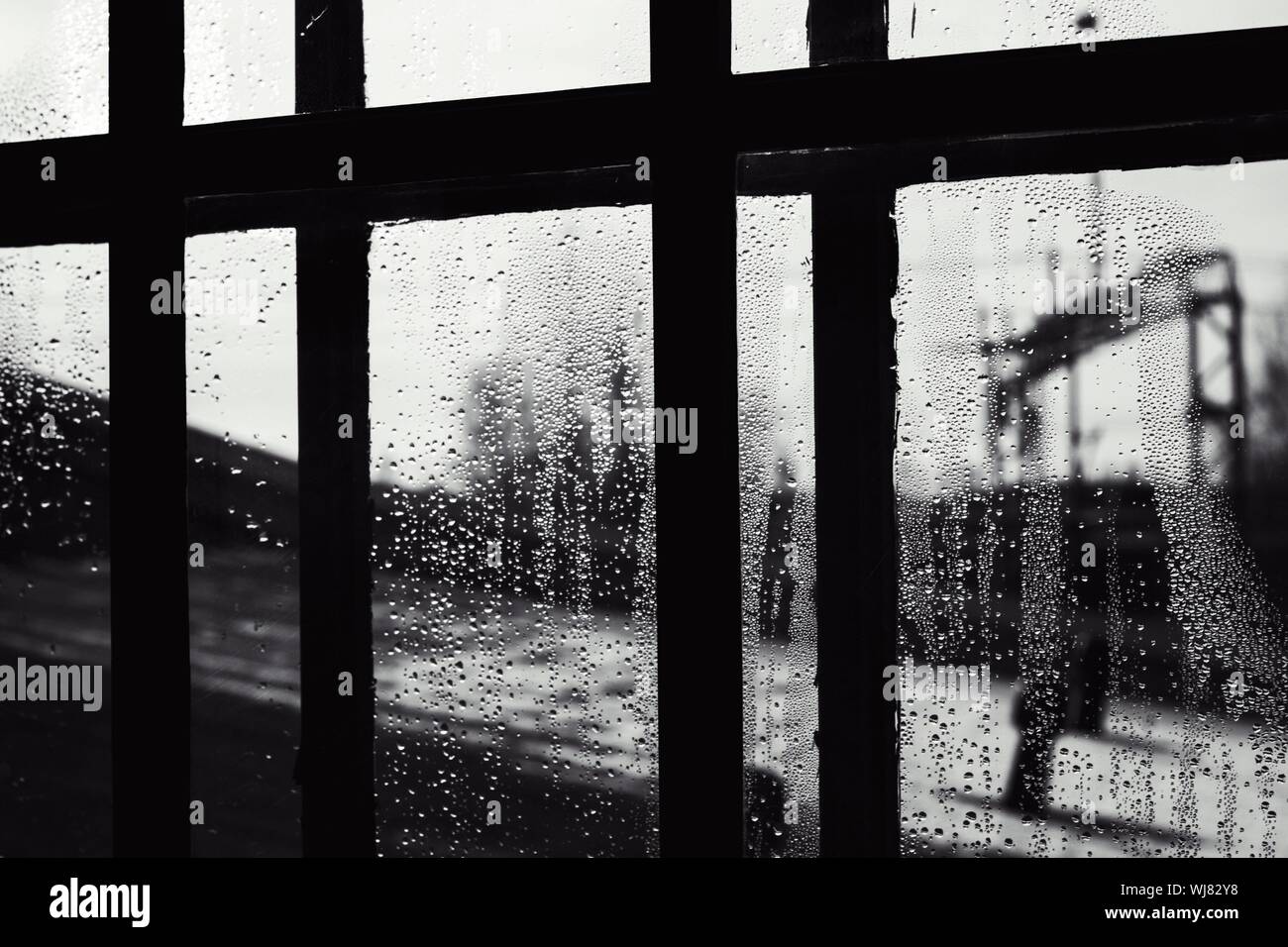 Wet house hi-res stock photography and images - Alamy