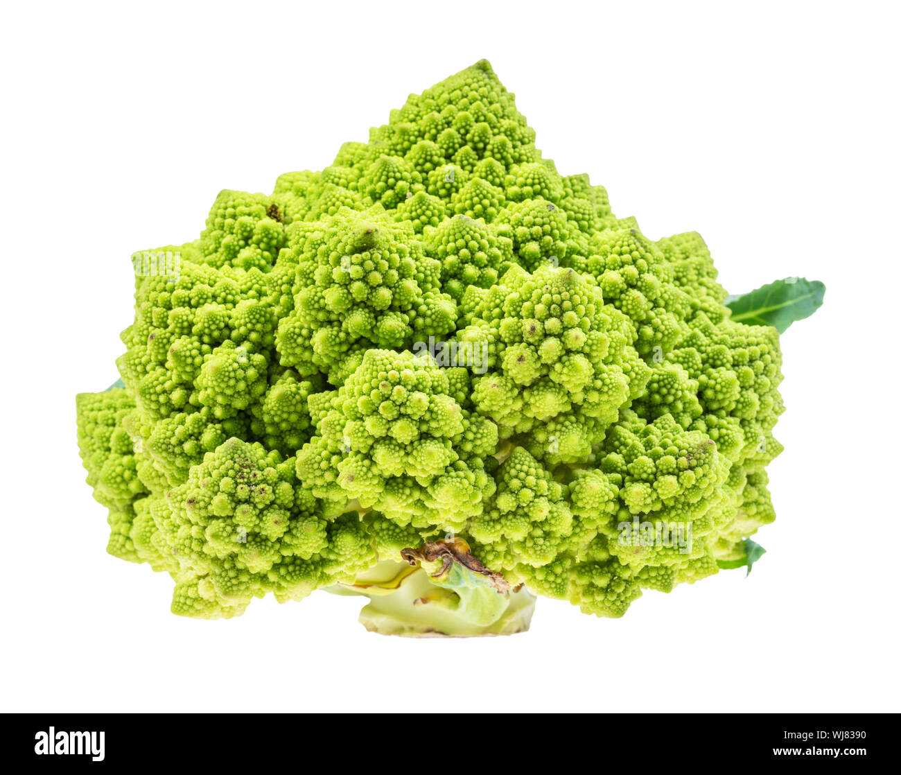 green romanesco broccoli cabbage cutout on white background Stock Photo ...