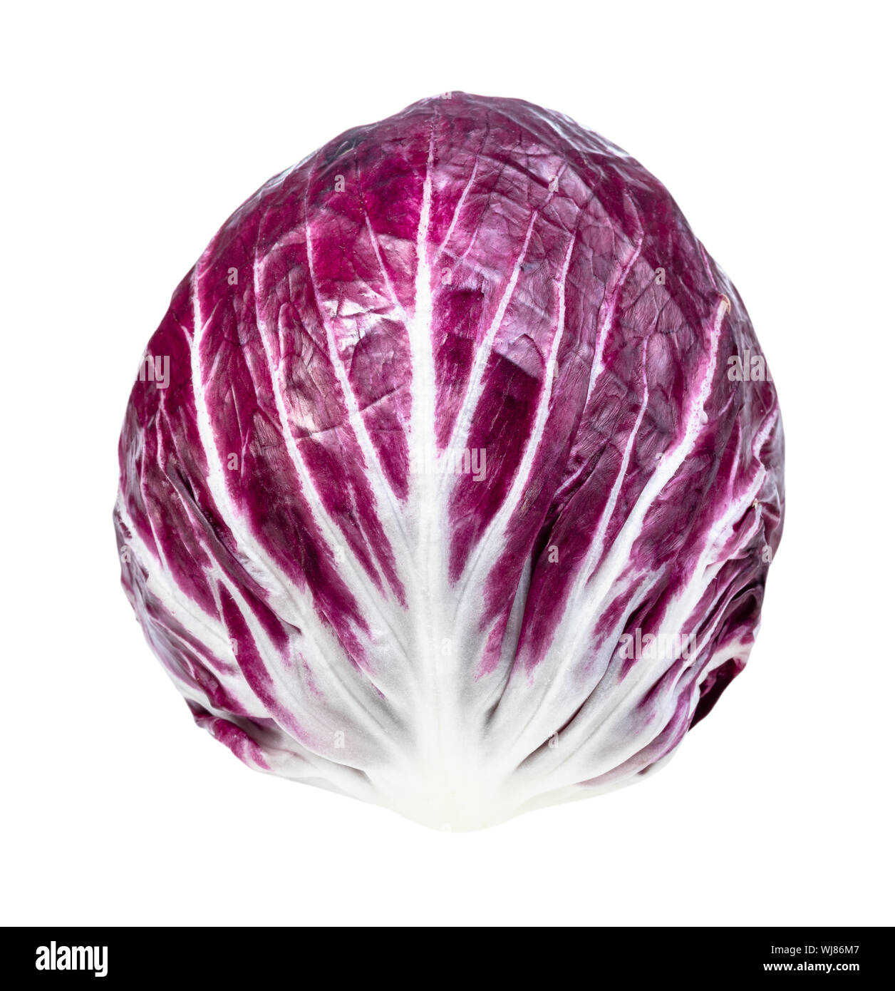 whole head of Radicchio (Italian leaf chicory) cutout on white ...