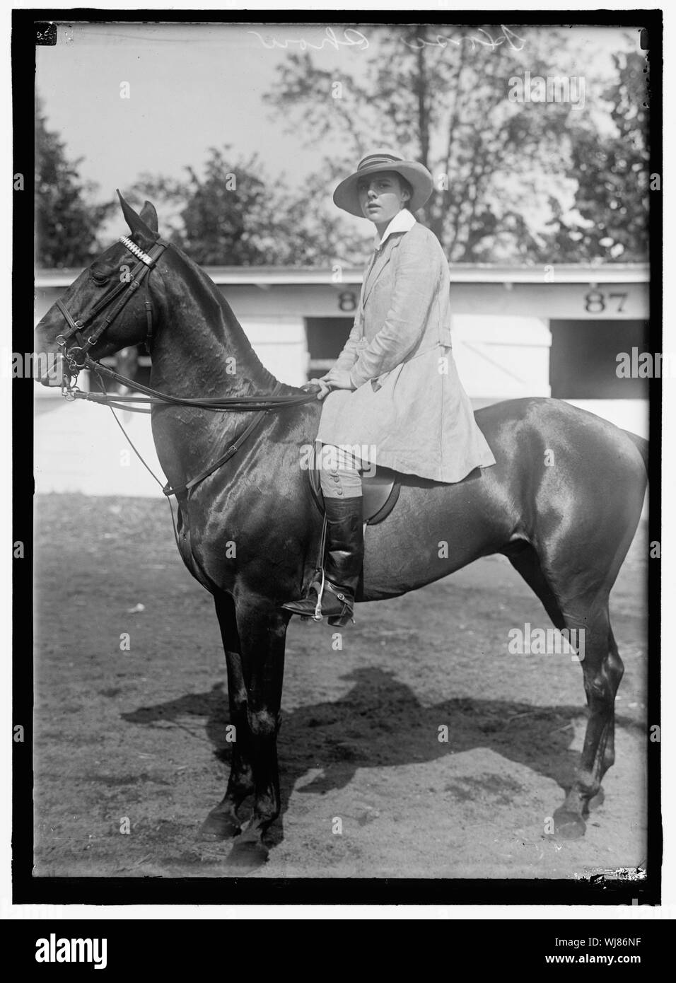 Horse show jumping equestrian event Cut Out Stock Images & Pictures - Alamy